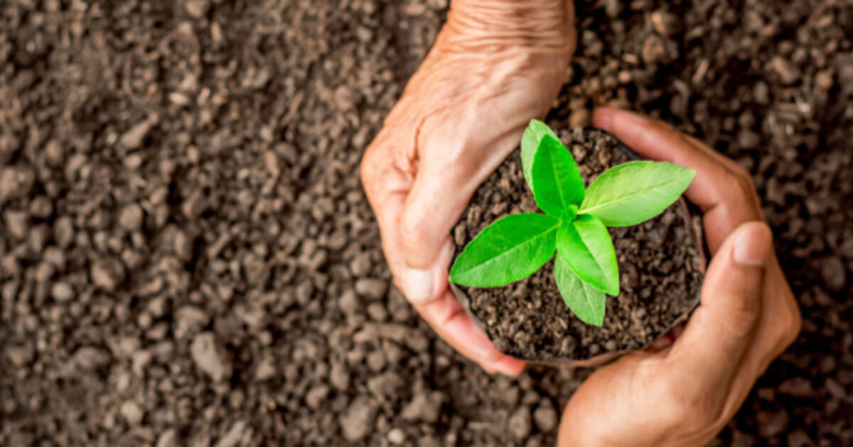 Trabalho, adoração e meio ambiente… | Projeto Teologia do Trabalho